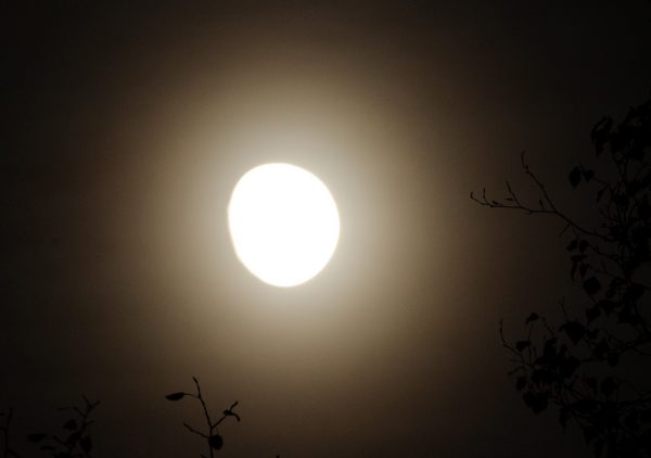 How To Photograph The Super Moon | LearnPhoto365